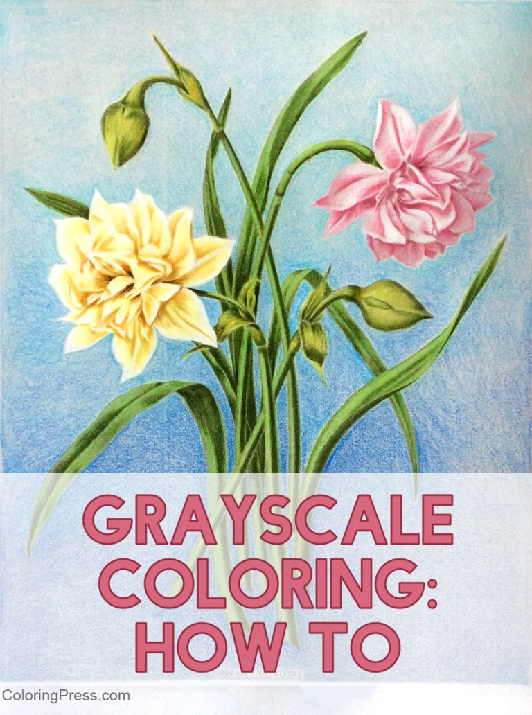 Grayscale Coloring Tutorial: Basic How To – Coloring Press