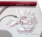 Grayscale Coloring Tutorial: Basic How To – Coloring Press