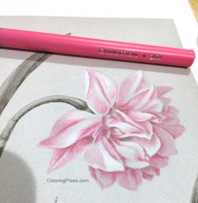 Grayscale Coloring Tutorial: Basic How To – Coloring Press