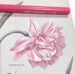 Grayscale Coloring Tutorial: Basic How To – Coloring Press