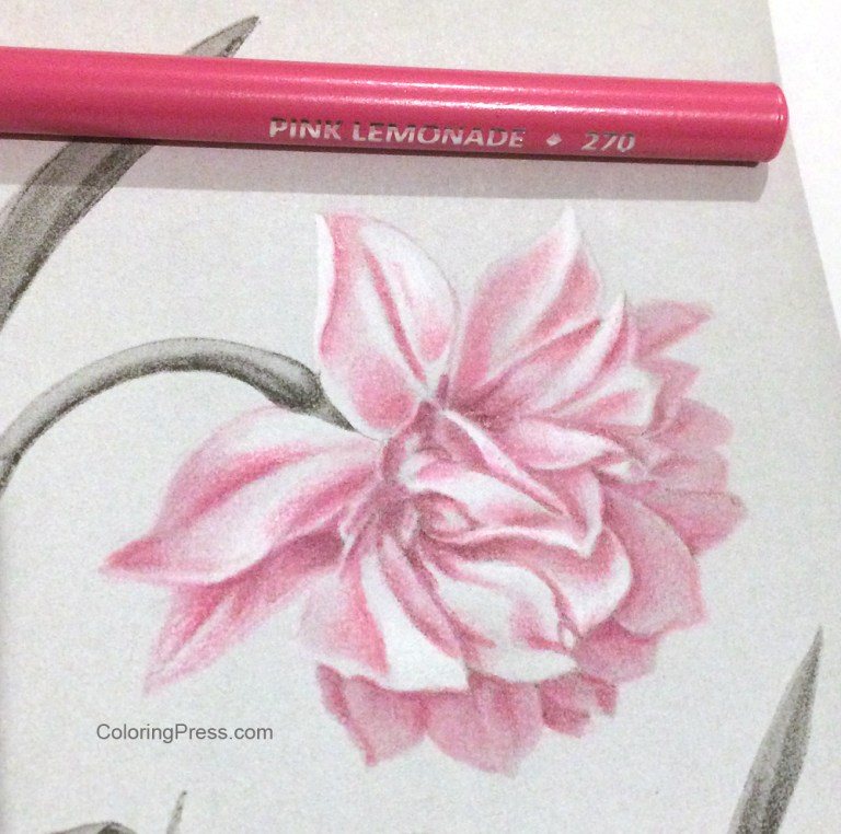 Grayscale Coloring Tutorial: Basic How To – Coloring Press