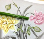 Grayscale Coloring Tutorial: Basic How To – Coloring Press