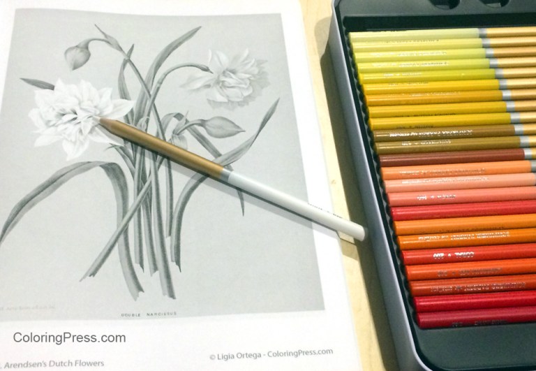 Grayscale Coloring Tutorial: Basic How To – Coloring Press