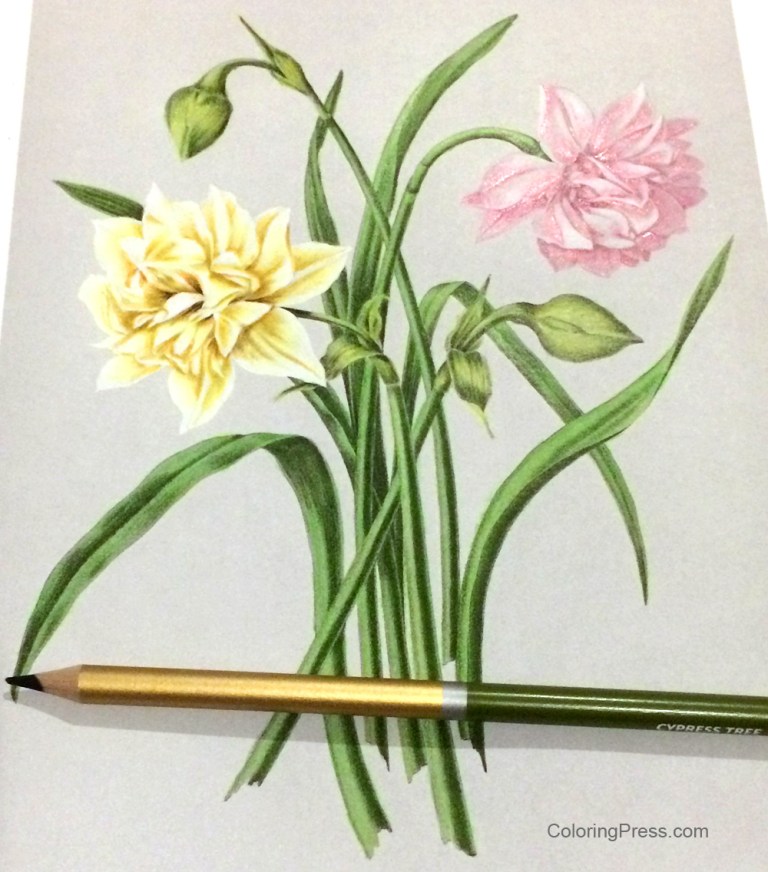 Grayscale Coloring Tutorial: Basic How To – Coloring Press