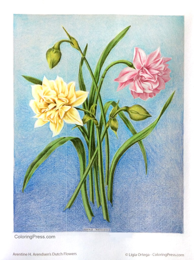 Grayscale Coloring Tutorial: Basic How To – Coloring Press