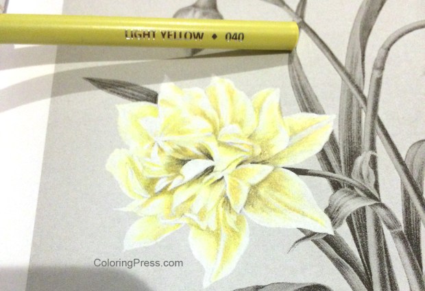 Grayscale Coloring Tutorial: Basic How To – Coloring Press