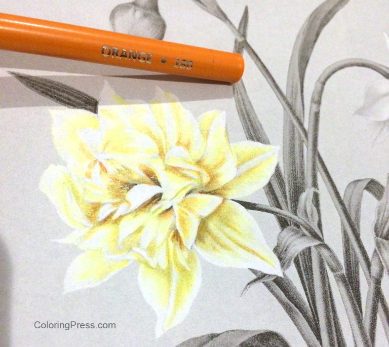 Grayscale Coloring Tutorial: Basic How To – Coloring Press