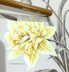 Grayscale Coloring Tutorial: Basic How To – Coloring Press
