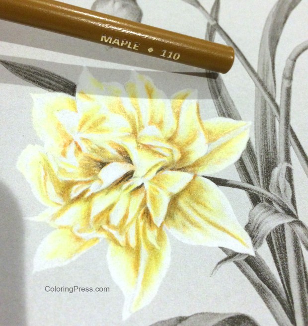 Grayscale Coloring Tutorial: Basic How To – Coloring Press